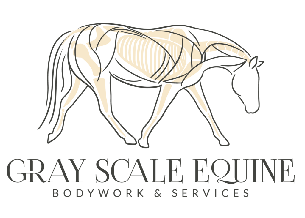 Gray Scale Equine | Equine Bodywork Services In PA, NJ